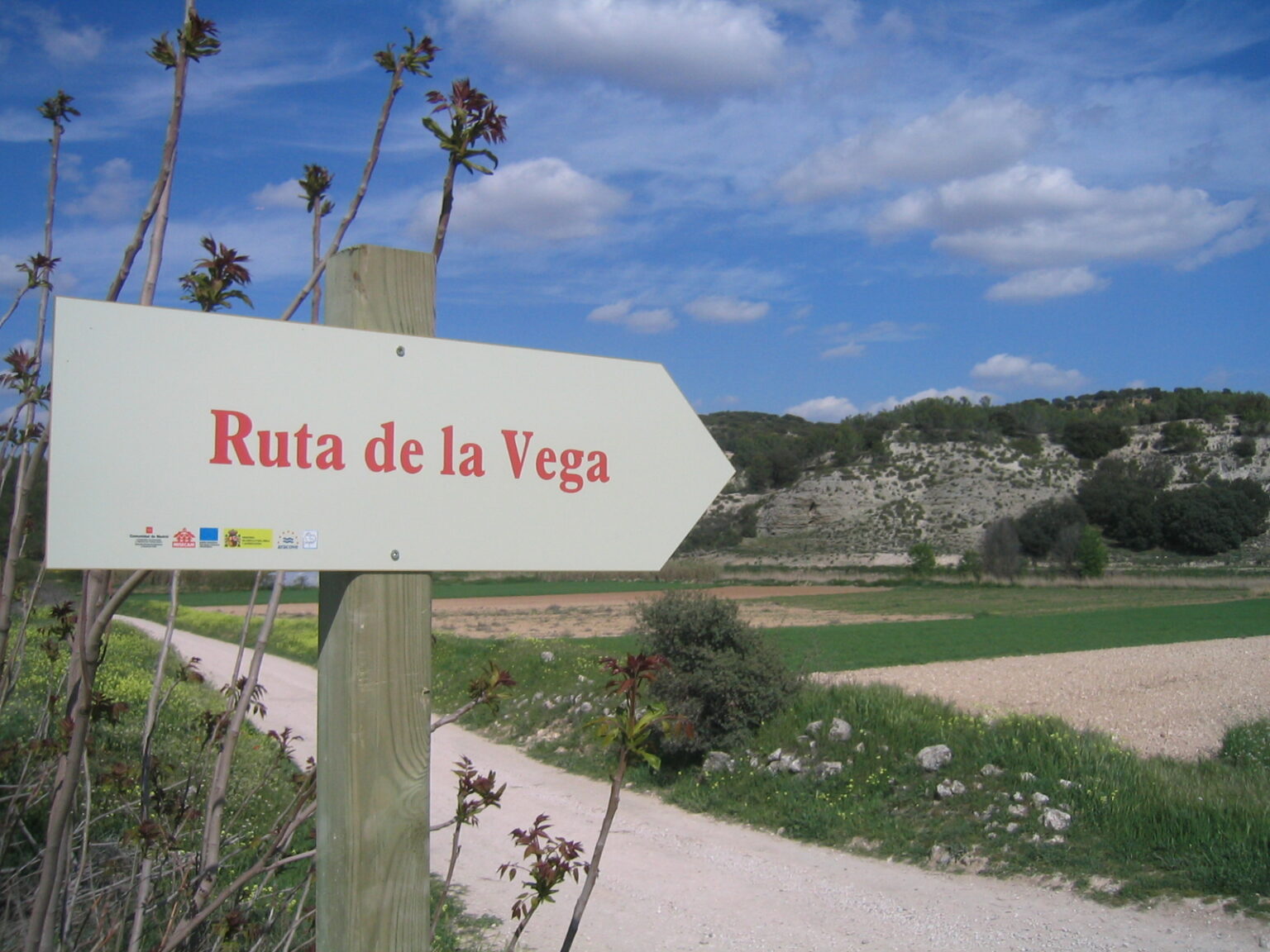 - Ayuntamiento de Valdelaguna