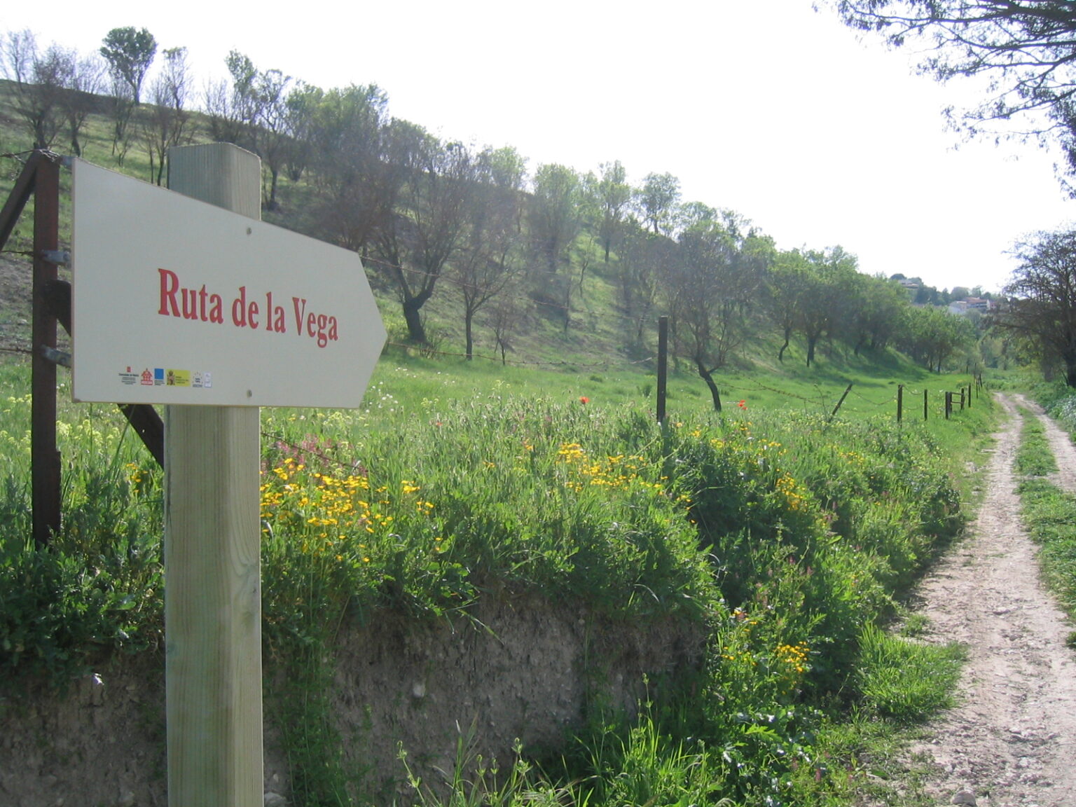 - Ayuntamiento de Valdelaguna